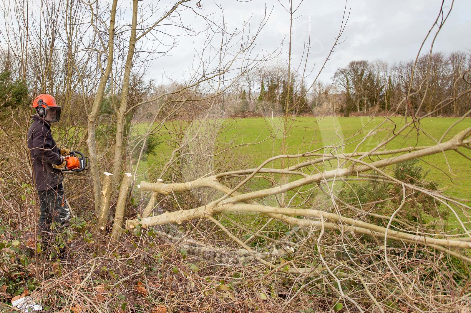 1401281049435D25168HaraldJoergens_v1.jpg - Interactive Panorama and ...
